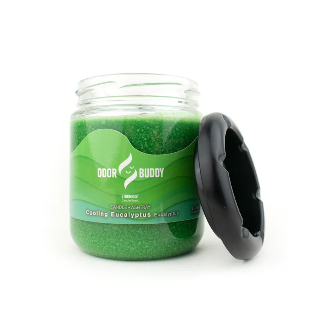 Odor Buddy Candle and Ashtray 12oz Cooling Eucalyptus – Green Caviar Club