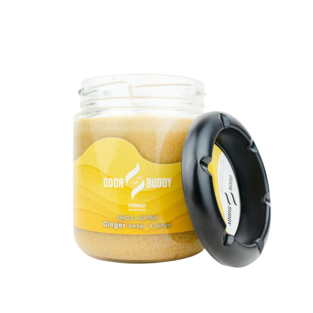 Odor Buddy Candle and Ashtray 12oz Ginger – Green Caviar Club
